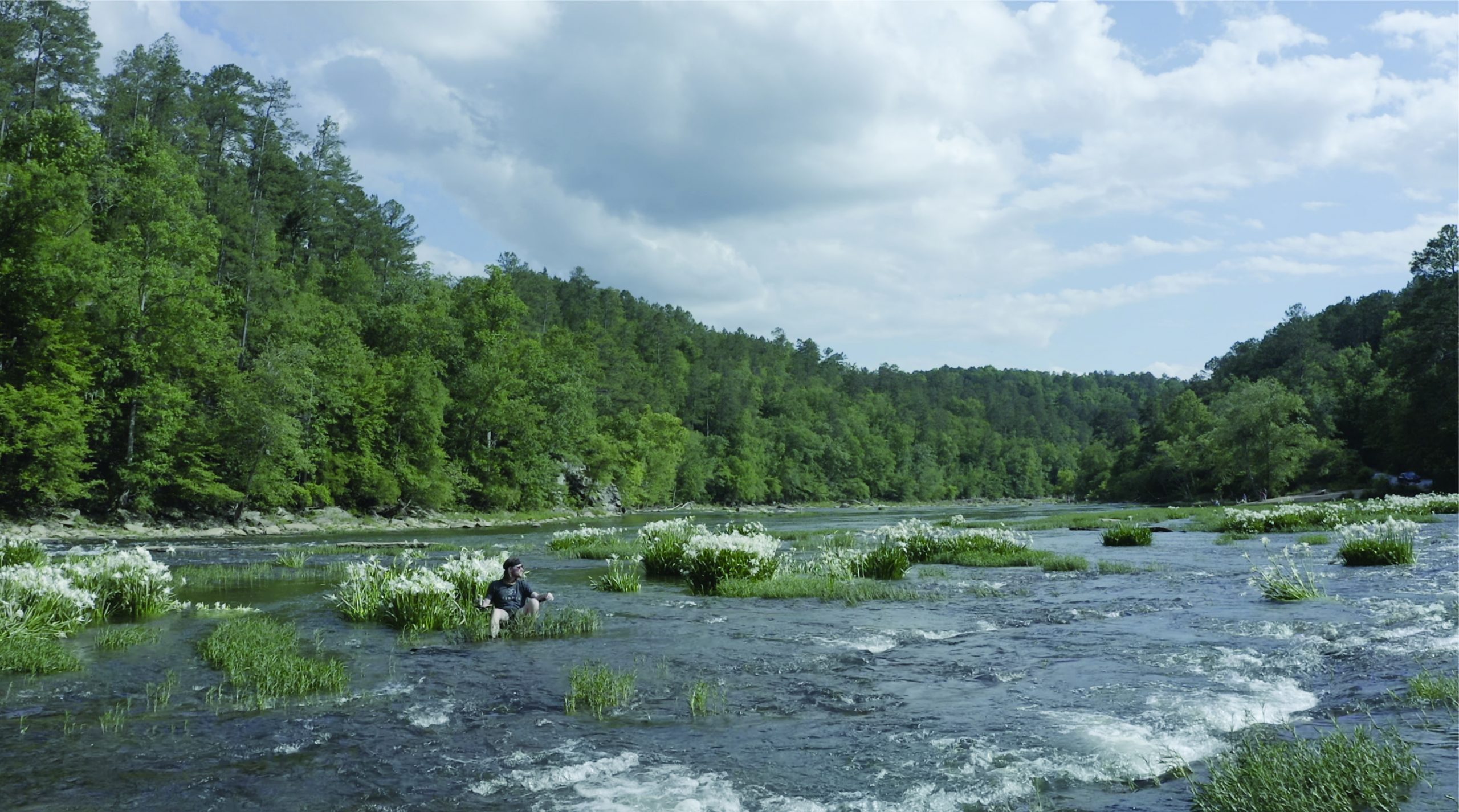 Home - Cahaba Brewing Co.